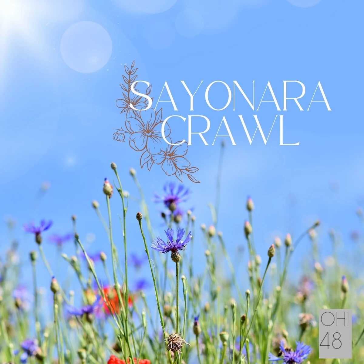 Sayonara Crawl | OHI48 Wiki | Fandom