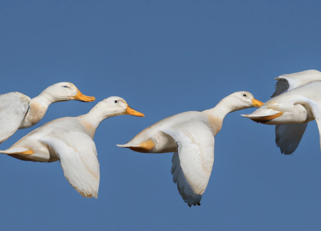 Anomaly-002: "Ohioan Ducks" | Ohio Database Wiki | Fandom