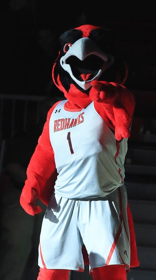 Rowdy the Redhawk | Ohio Valley Conference Wiki | Fandom