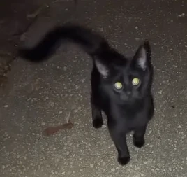 Evil Mr. Munchkins Man | The Ohio Wiki | Fandom