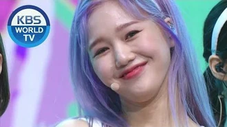 Dolphin | OH MY GIRL Wiki | Fandom