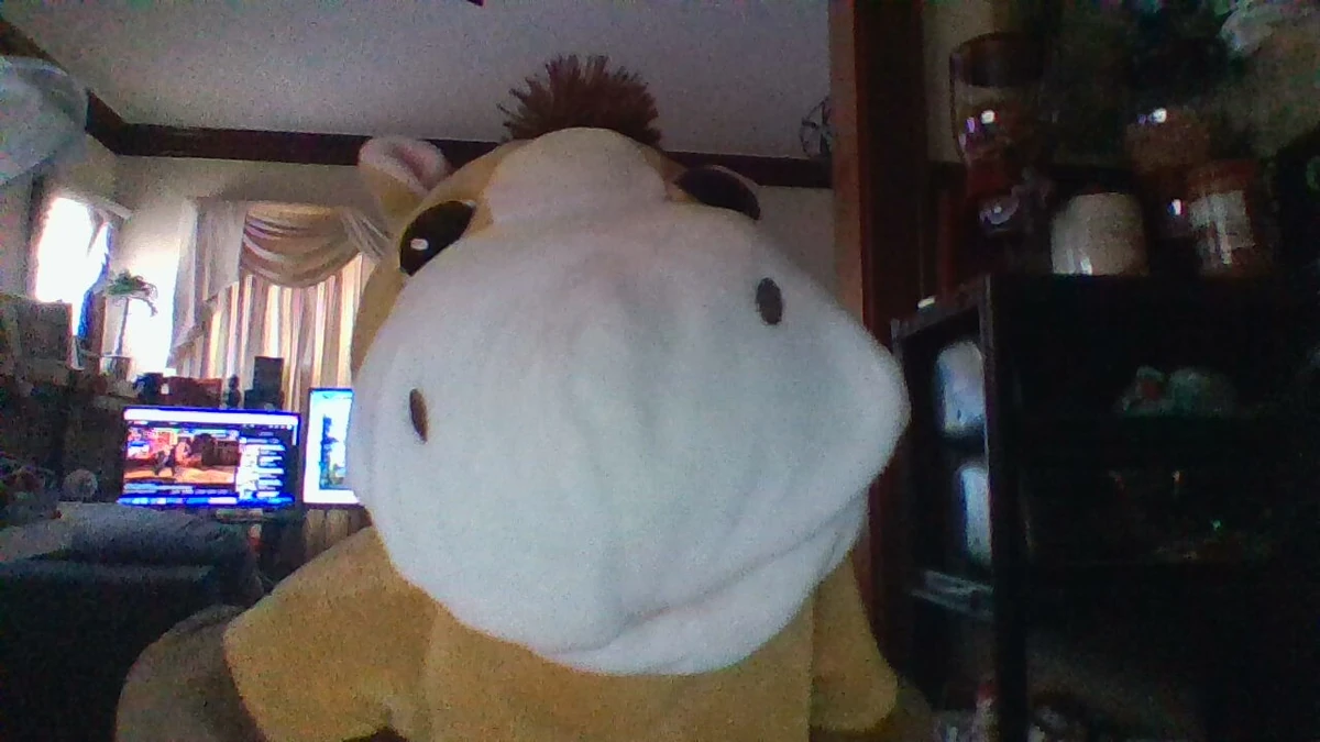 Turnip | Oink Wiki | Fandom