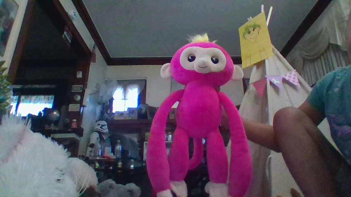 Bella | Oink Wiki | Fandom