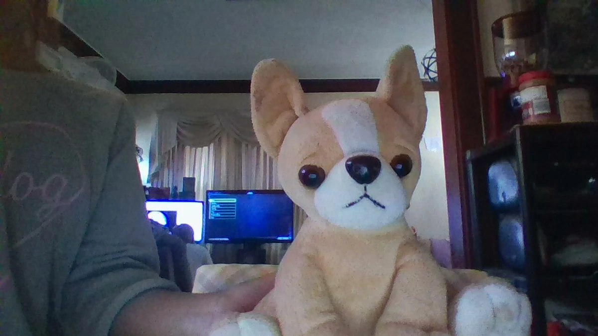 Woofy | Oink Wiki | Fandom