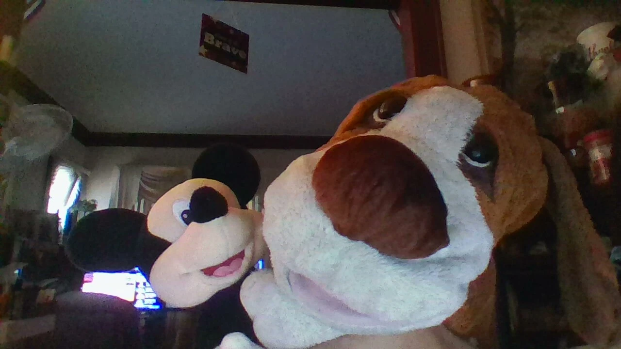 Discuss Everything About Oink Wiki | Fandom