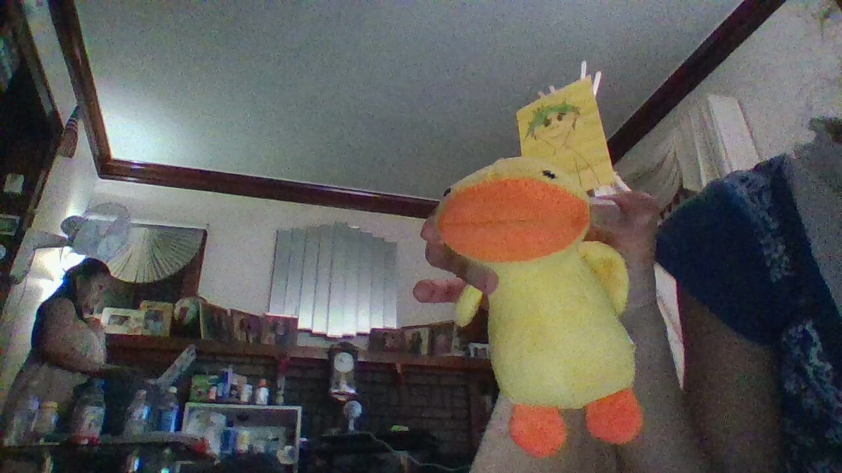 Baby Bird | Oink Wiki | Fandom