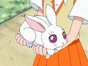 Lulu (Rabbit) | Majopedia | Fandom