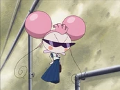 Dodo | Majopedia | Fandom