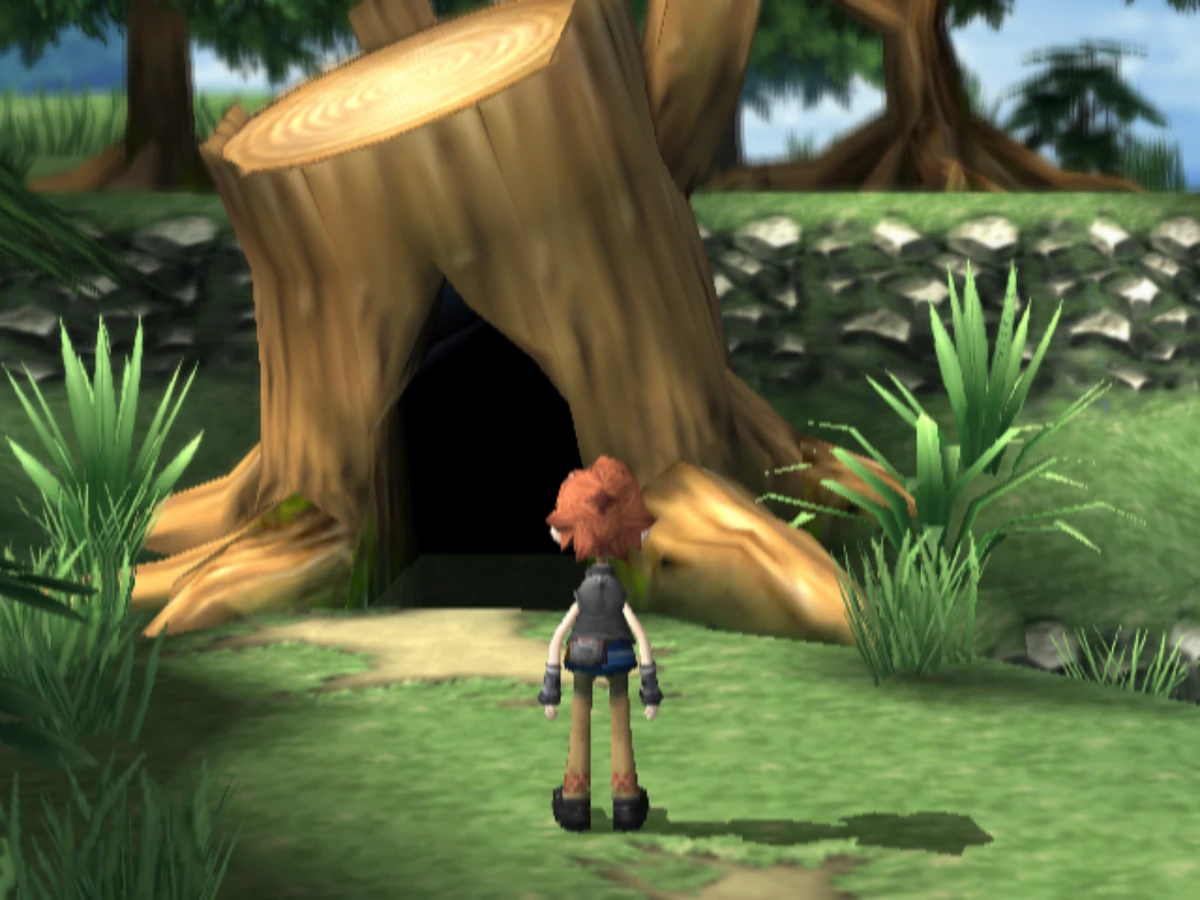 Big Tree Hole | Shadow King Wiki | Fandom