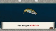 Fish | Ōkami Wiki | Fandom
