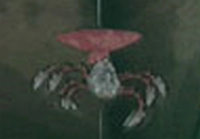 Platform Spider | Ōkami Wiki | Fandom