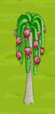 Pitaya | Oceania Wiki | Fandom