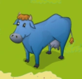 Blue Cow | Oceania Wiki | Fandom