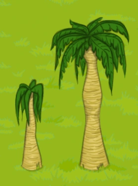 Coconut | Oceania Wiki | Fandom