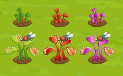 Flytrap | Oceania Wiki | Fandom