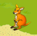 Wallaby | Oceania Wiki | Fandom