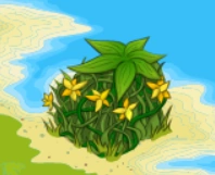 Jungle | Oceania Wiki | Fandom