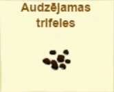 Truffle | Oceania Wiki | Fandom