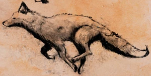 The Fox | Ok Goodnight Wiki | Fandom