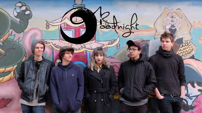 Ok Goodnight | Ok Goodnight Wiki | Fandom