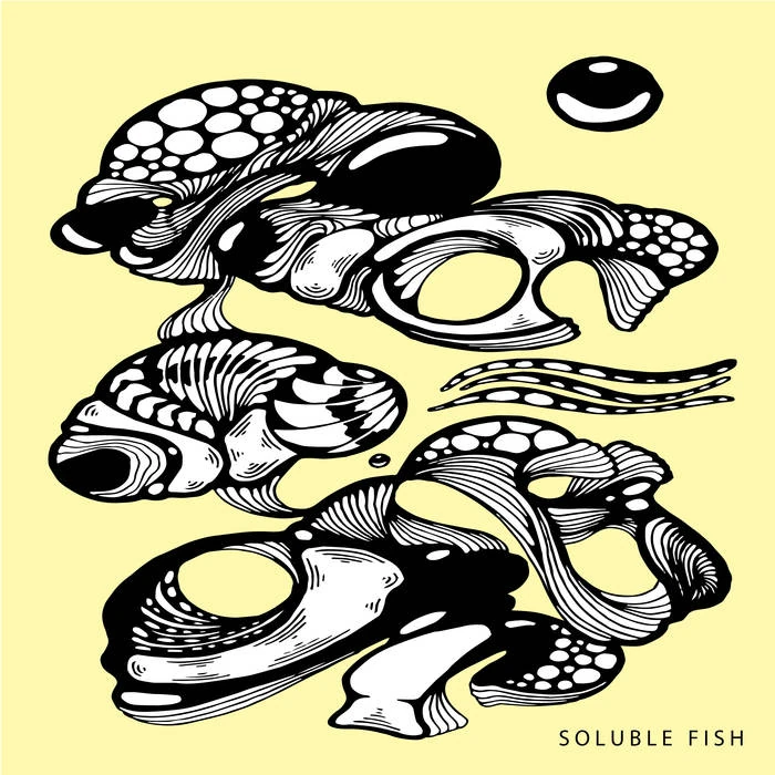 Soluble Fish | Oklahoma Music Archives Wiki | Fandom