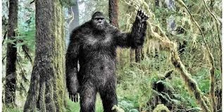 Koca Ayak | Olağanüstü Varlıklar Nedir Wikia | Fandom