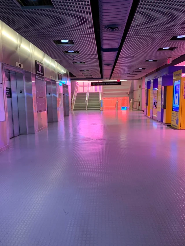 Level 3666: "Lost within the Neon Lights" | Old Backrooms Wiki | Fandom