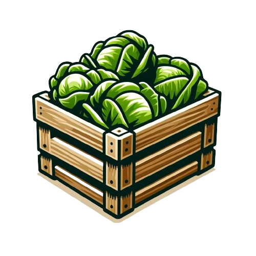 Cabbage | Old Market Simulator Wiki | Fandom