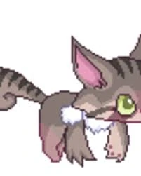 Rack-Rack | Old Prodigy Pet Fan Wiki | Fandom