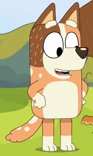 Chilli Heeler | Old vs. New Wiki | Fandom