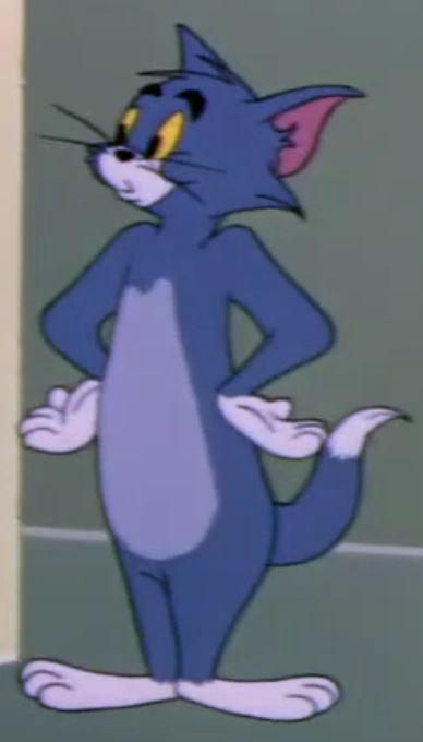 Tom Cat | Old vs. New Wiki | Fandom