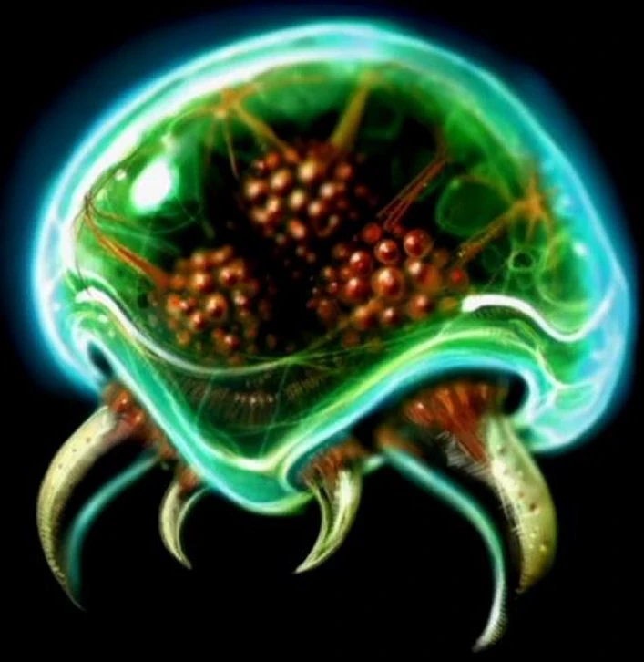 Metroid (species) | Old Video Games Wiki | Fandom