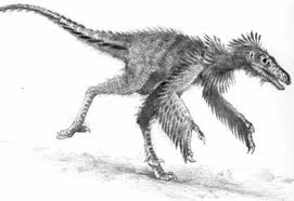 Sinorin | Old Wounds Wiki | Fandom