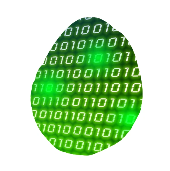 Binary Egg | Oliversoutlewis's eggs Wiki | Fandom