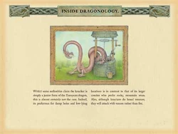 Dragonology: Guide to Dragons Pictures | Ologypedia | Fandom