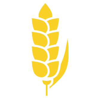 Wheat | Oloko Wiki | Fandom