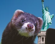 Wrath of the Triple Goddess | Riordan Wiki | Fandom