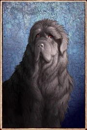 Hellhound | Riordan Wiki | Fandom