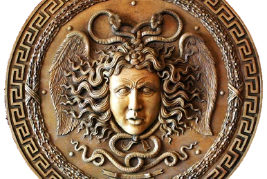 Aegis Shield From Percy Jackson