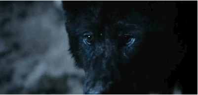 Book of the supernatural/Shapeshifter | Olympus Academy Roleplay Wiki ...