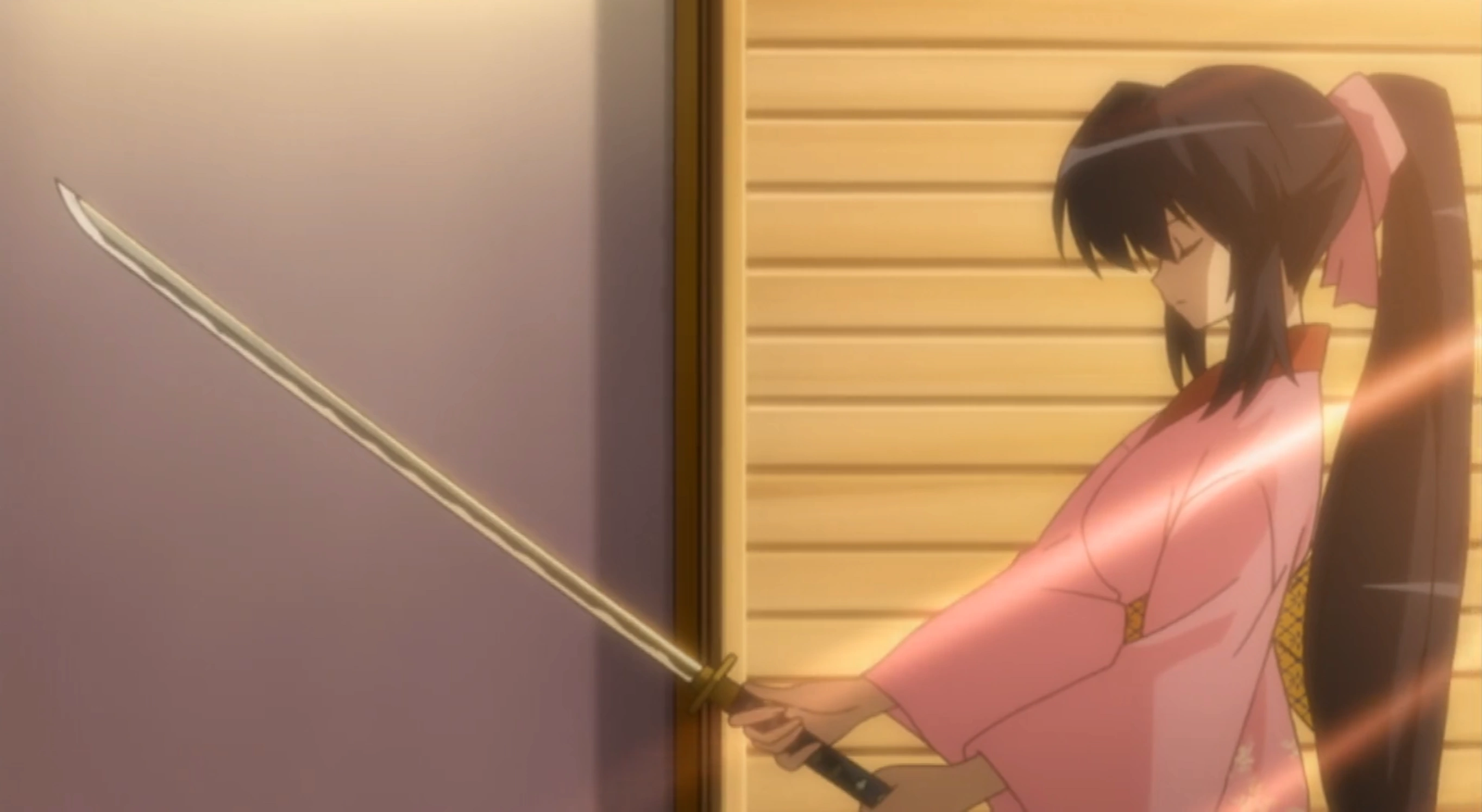 Omamori Himari Kat Vorm