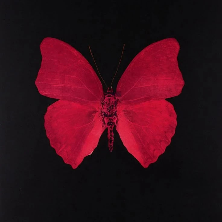 Billow | Omaticomission Wiki | Fandom