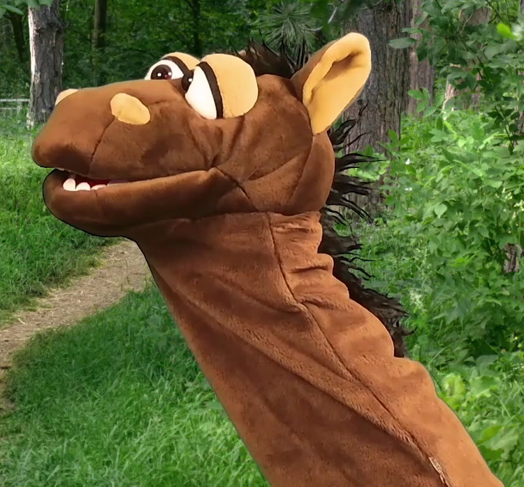 Buckaroo | Jack Sablich's The Omblar Show Wiki | Fandom