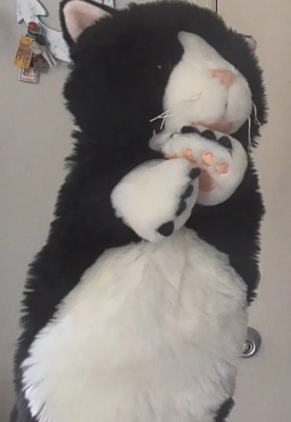 Barry the Cat | Jack Sablich's The Omblar Show Wiki | Fandom