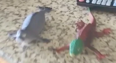 Henry Lizard and David Seal | Jack Sablich's The Omblar Show Wiki | Fandom