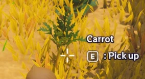 Carrot | Omega Crafter Wiki | Fandom