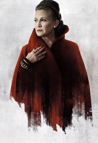 Leia Skywalker Organa Solo | Omega-Verse Wiki | Fandom
