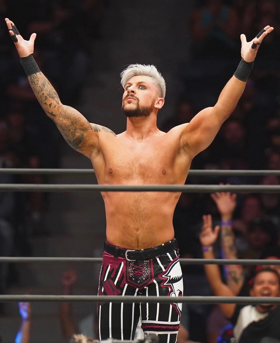 David Striker | Wrestling United Wiki | Fandom