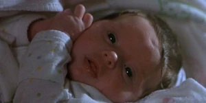 Alexander York | The Omen Wiki | Fandom