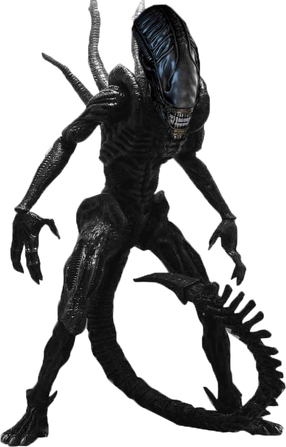 Xenomorph Physiology